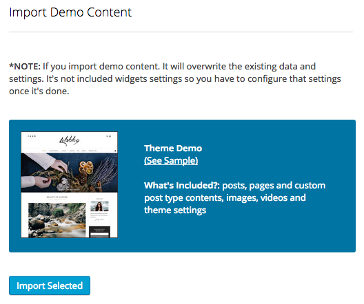 LetsBlog Wordpress Version Documentation Template